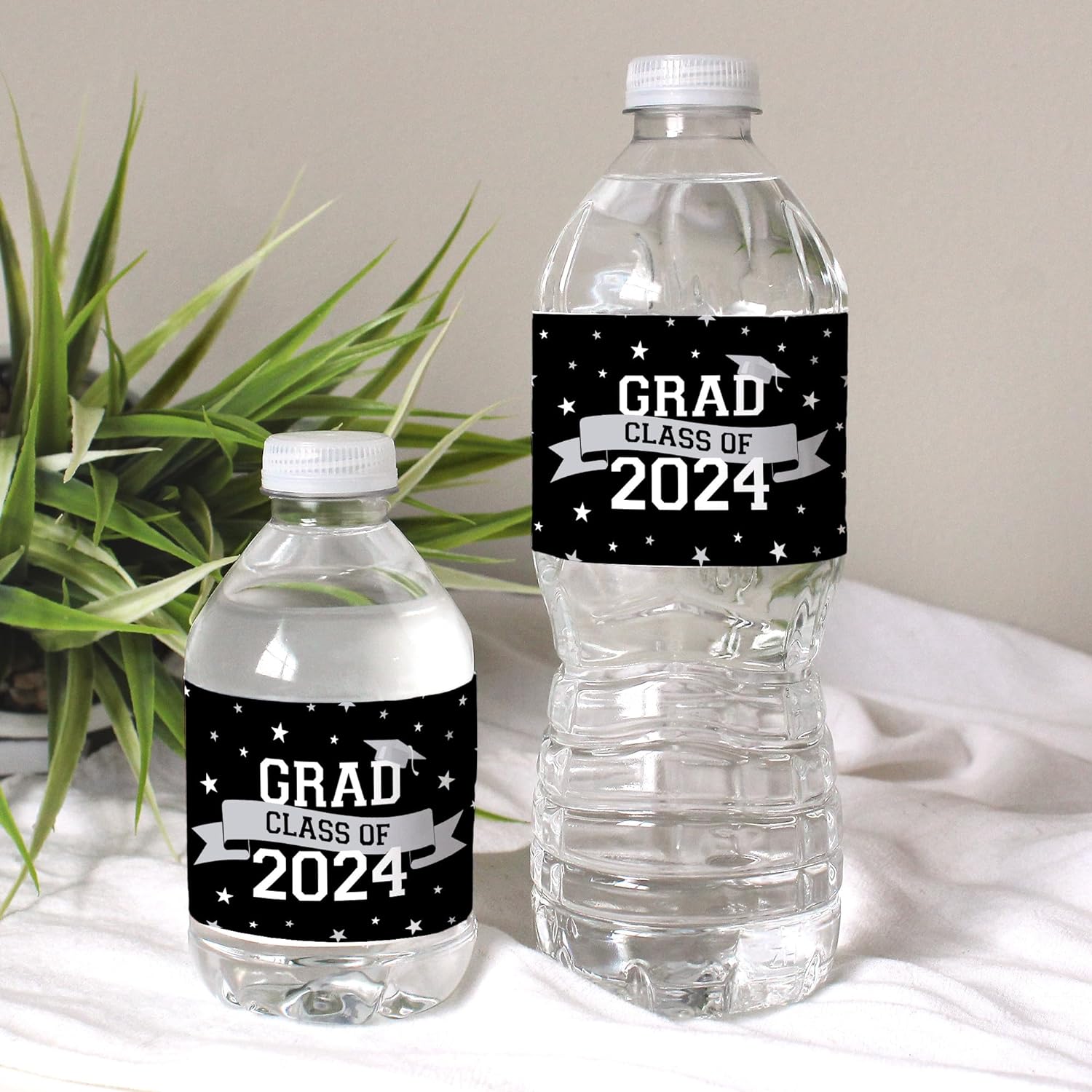 31 Best Graduation Party Ideas For A Day Of Unforgettable Fun
